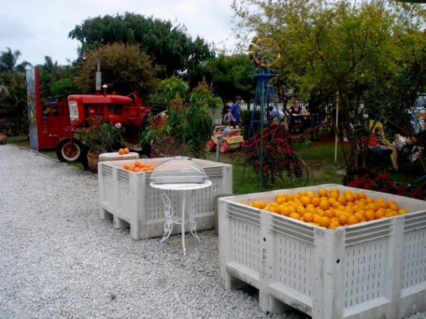 Girls Strawberry Patch Delray Beach - softwaretickets