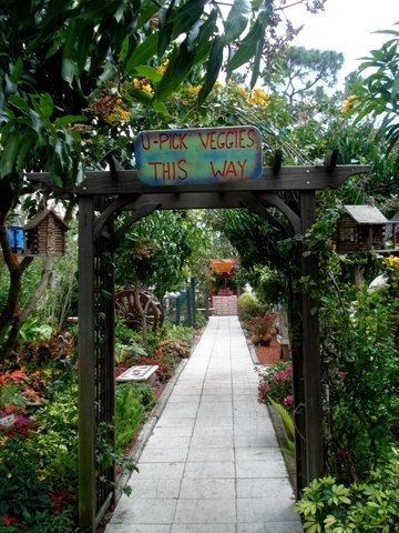 Girls Strawberry Patch Delray Beach - Vue Con 2017